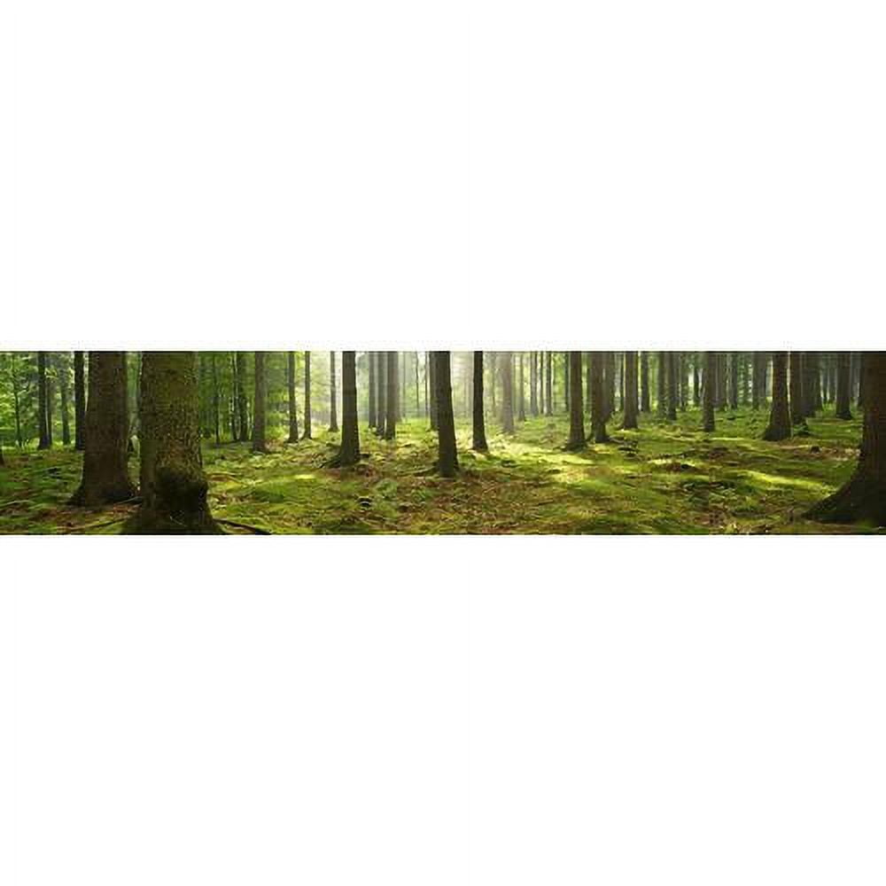 Aquarium Terrarium Backgrounds Main (Forest, 109”L X 24”H) - Walmart.com