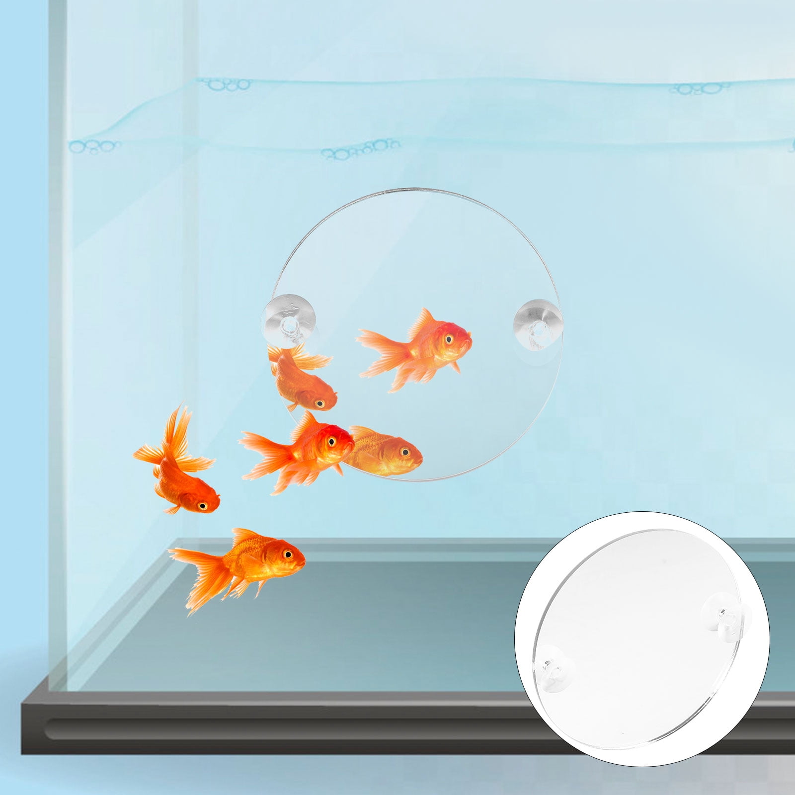 SEWCHICS Decorative Betta Mirror Acrylic 1Pcs 3.9In Round - Walmart.com