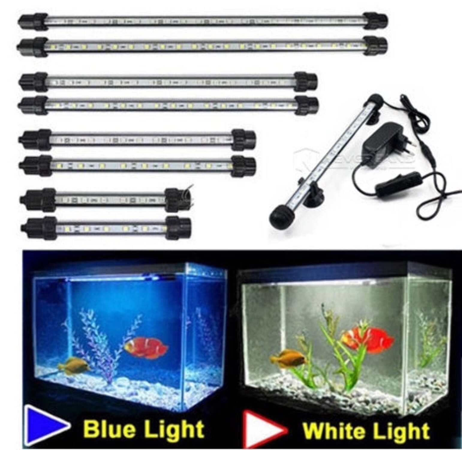 Aquarium-box floodlight highlights aquatic lantern diving festival ...