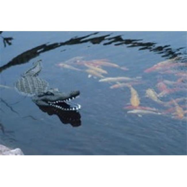 Aquascape AQS93000 Floating Alligator Head Decoy - Walmart.com