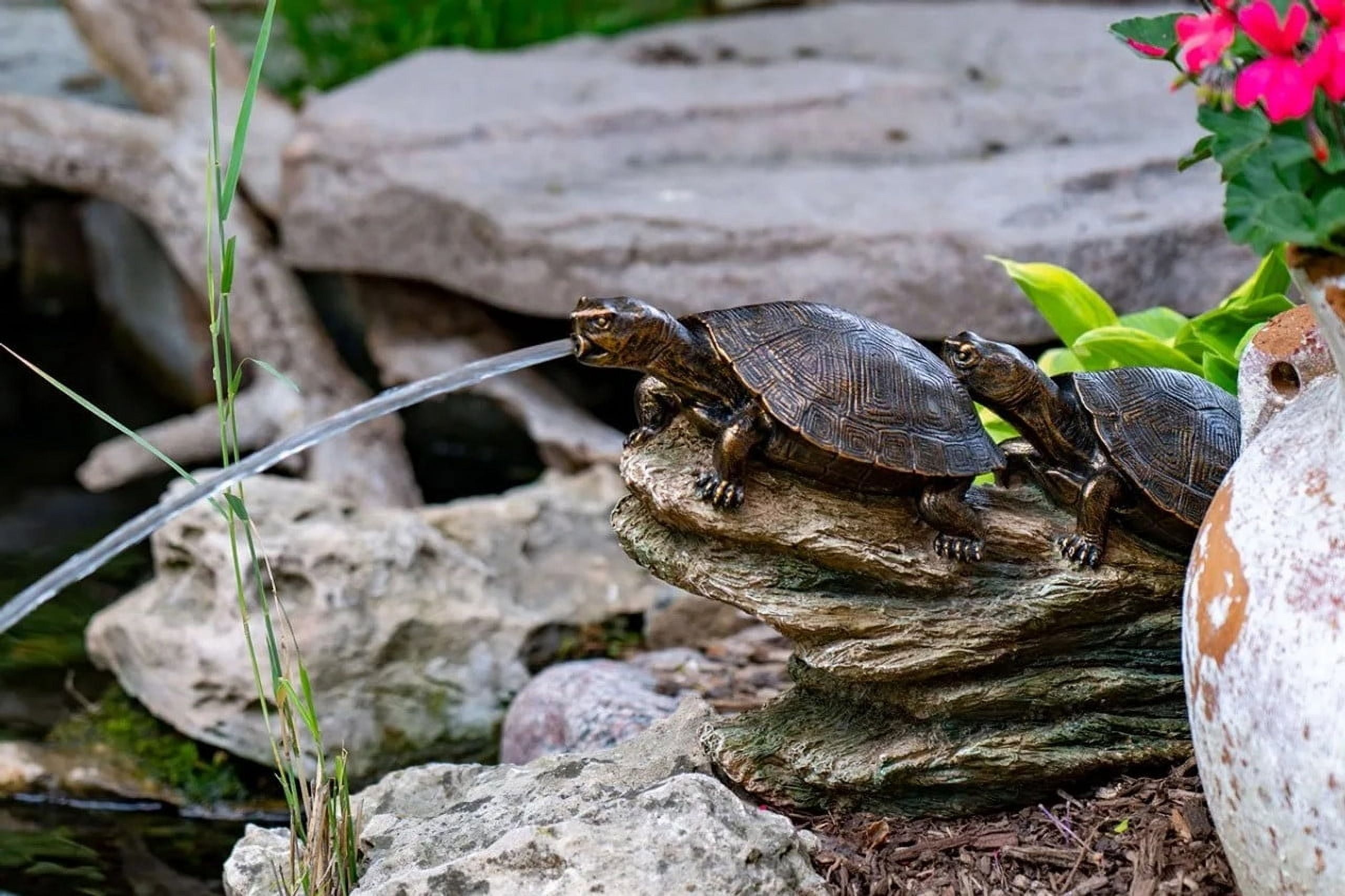 Aquascape Double Turtle on Log Pond Spitter/fountain - Walmart.com