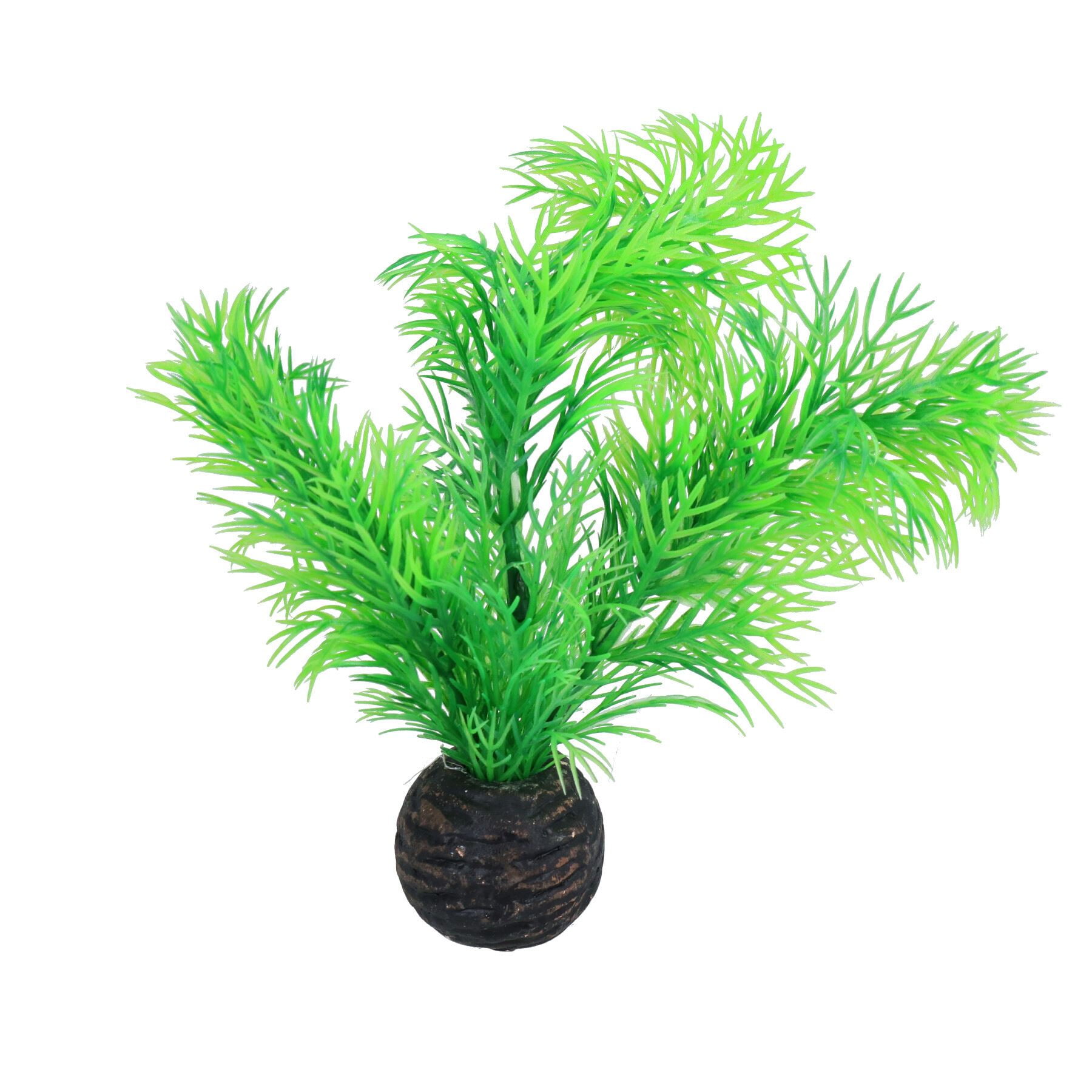 Aquatic Aquarium Fish Tank Self Sinking Small Silk Plant Height 13cm ...