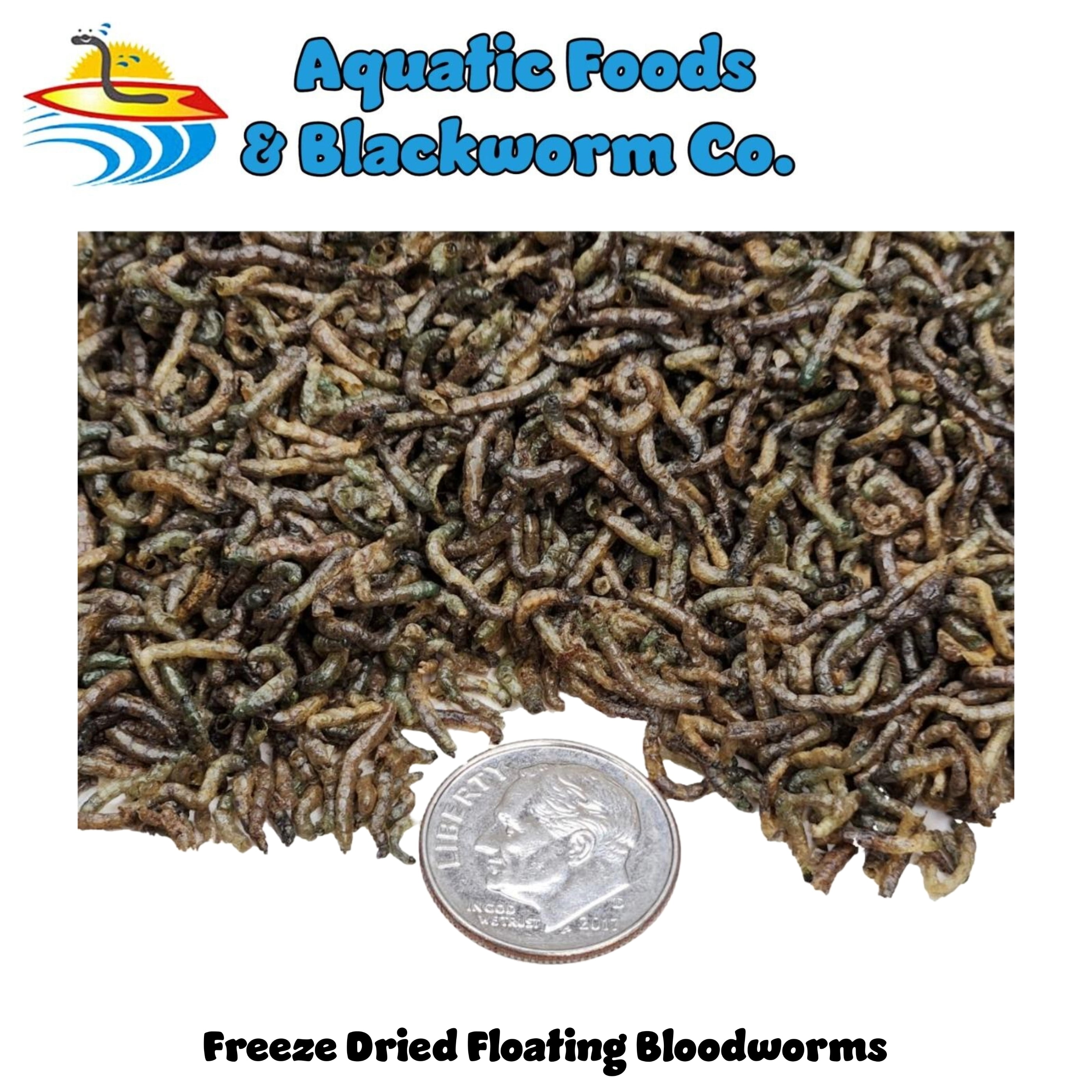 Aquatic Foods Freeze Dried Bloodworms. Clean Fresh Grade "A" Bloodworms ...