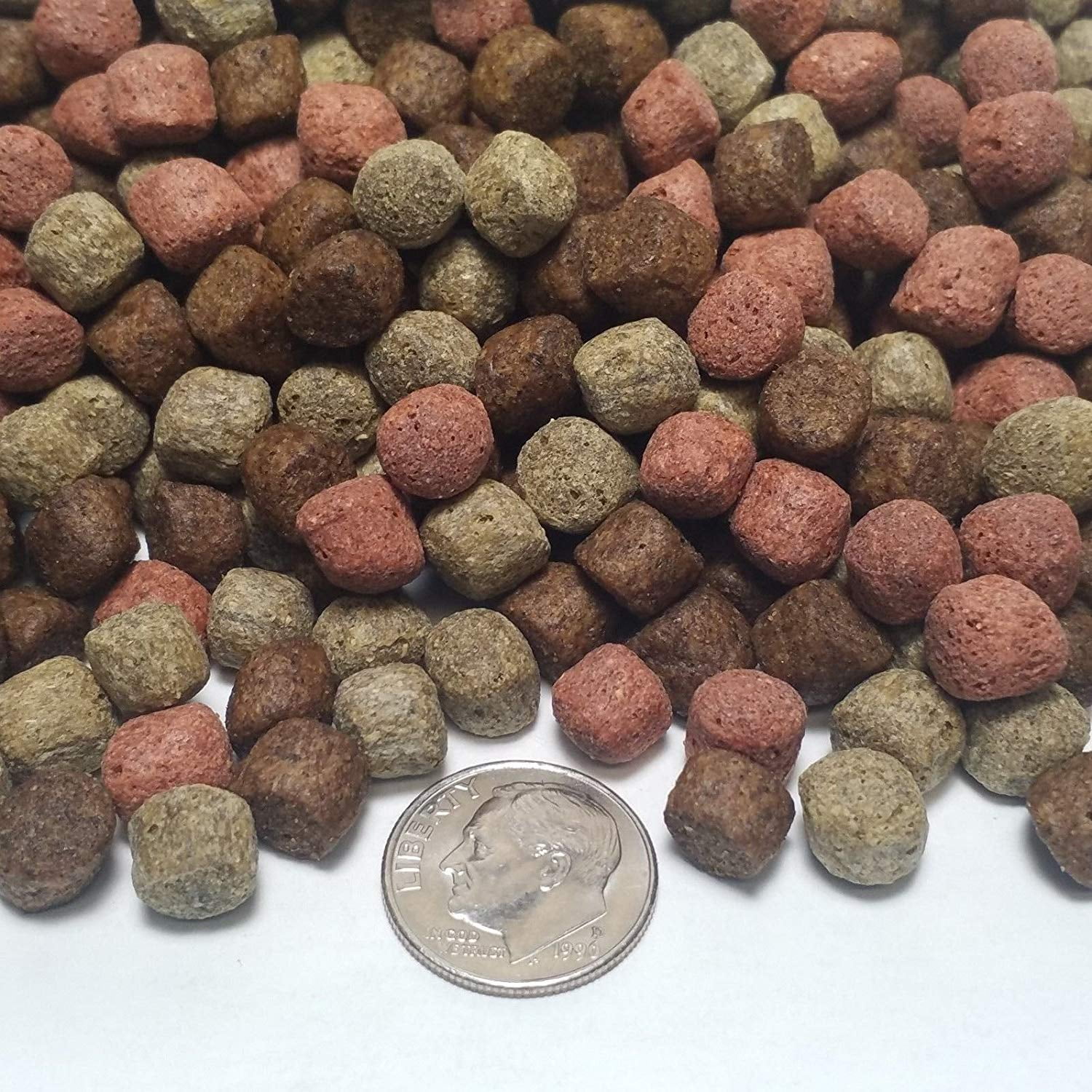 Aquatic Foods Intense Coloring & Intense Gro Cichlid Floating Large ...