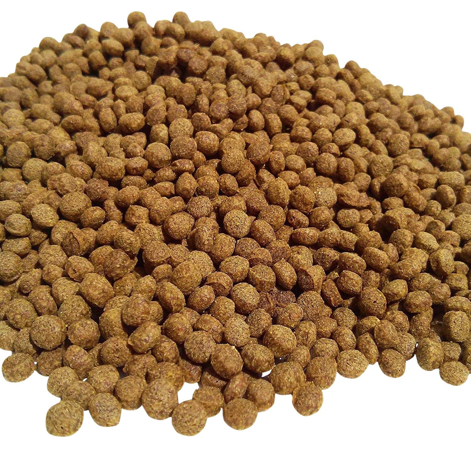 Aquatic Foods Wheat Germ Koi & Pond Fish 3/16" Floating Pellets...10 ...