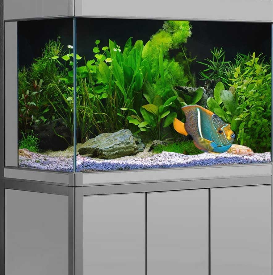 Customer reviews for Aquatic Plant Aquarium Background, Green Seagrass ...