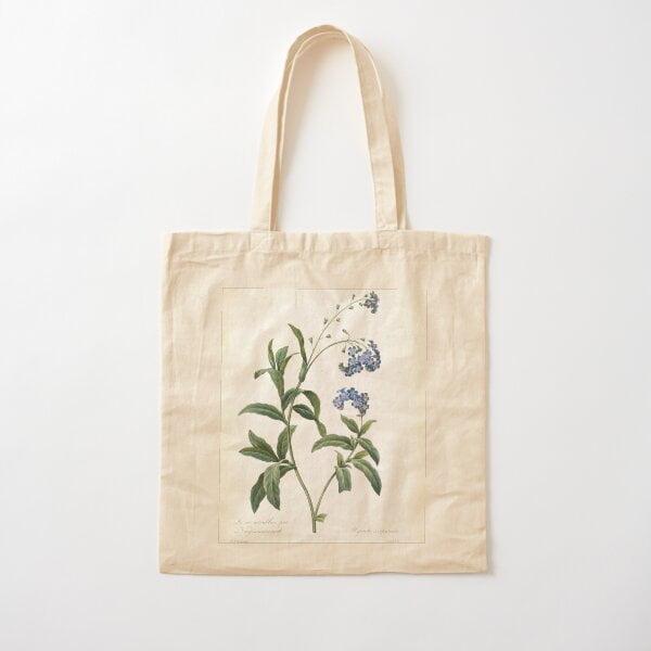 Aquatint, Hand Coloured, Engraving, Natural History, Botany, Botanical ...