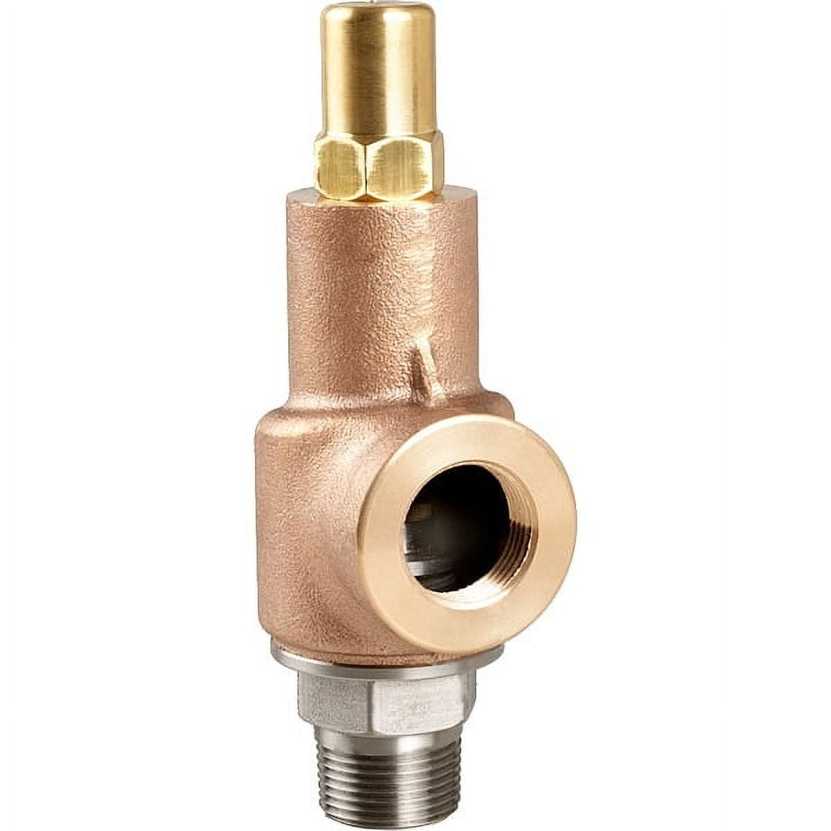Aquatrol Adjustable Relief Valve,1 In,100 psi 69C1B1M2U1-100 - Walmart.com