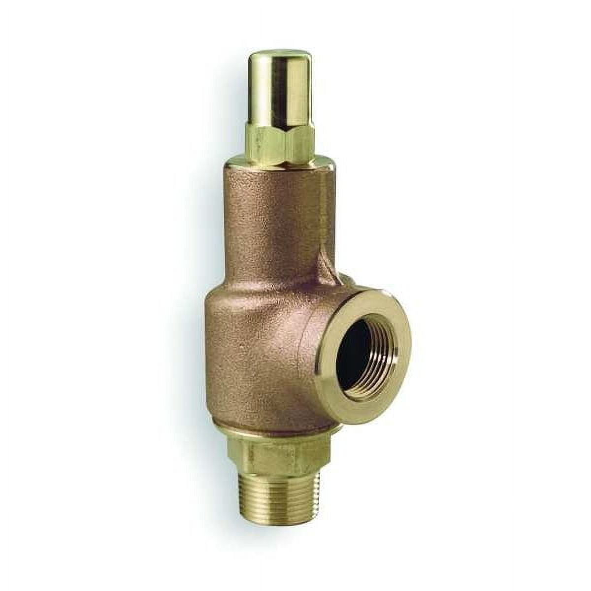 Aquatrol Adjustable Relief Valve,3/4 In,125 psi 69B1A1M2U1-125 ...