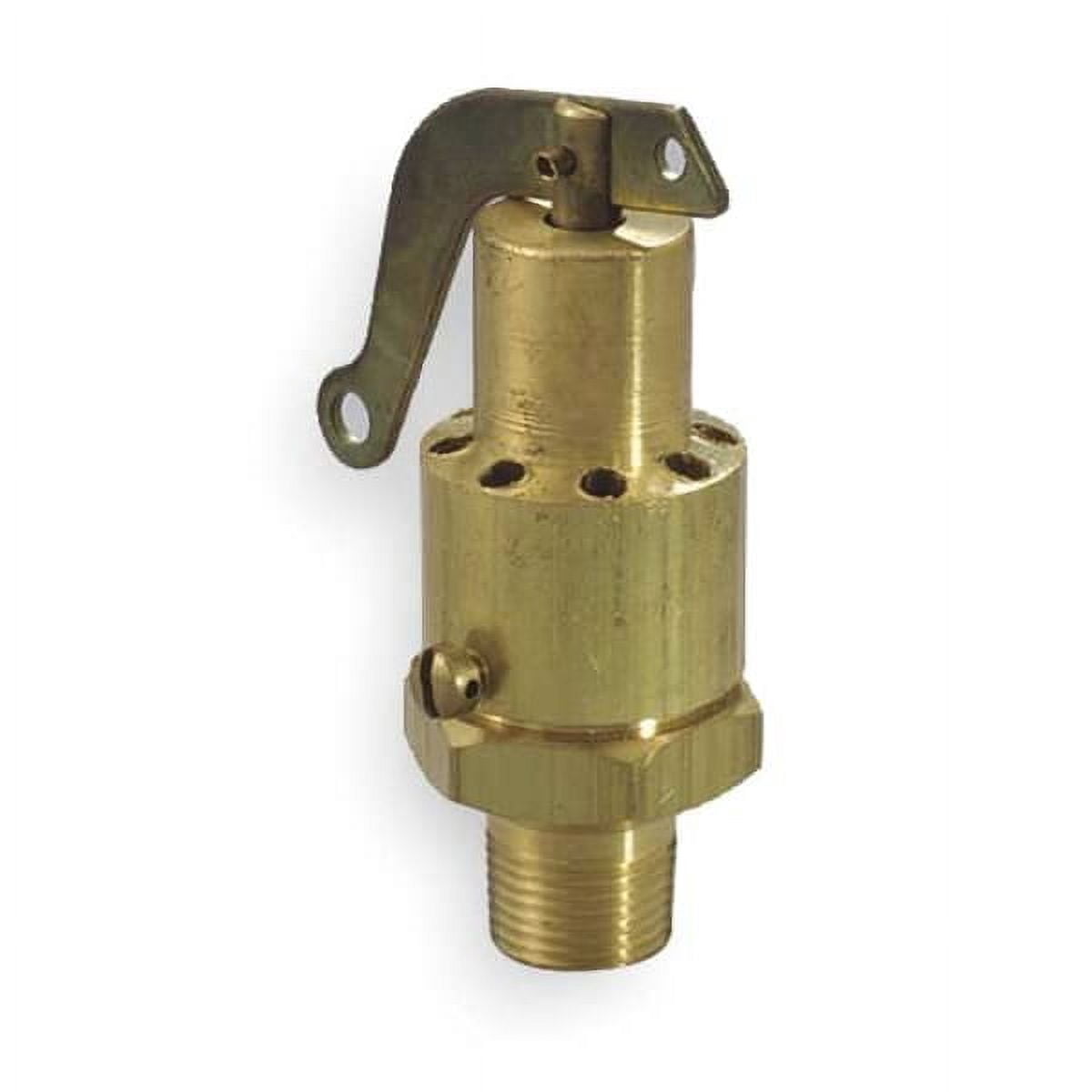 Aquatrol Safety Relief Valve,1/2 In,200 psi,Brass 130CA1M1K1-200 ...