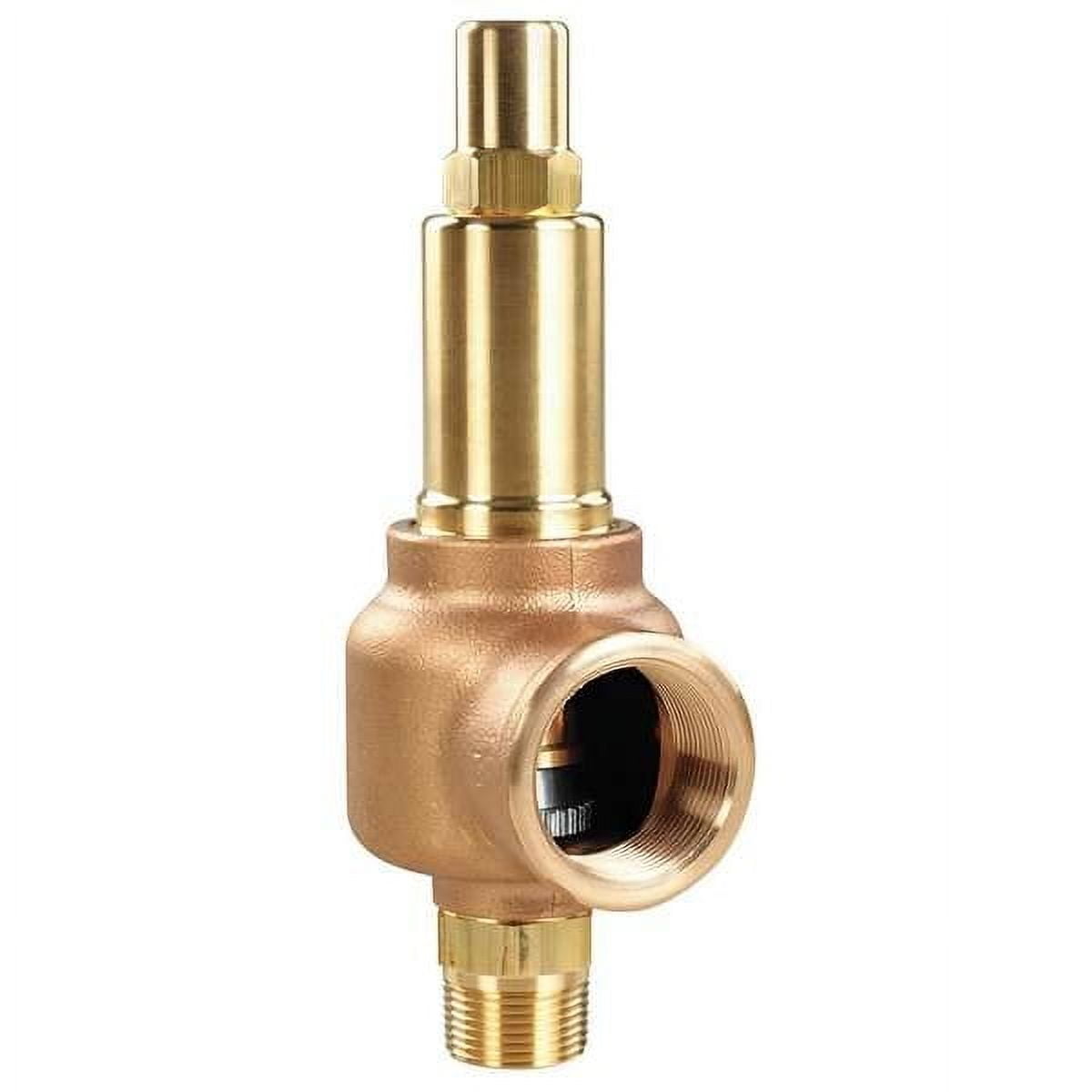 Aquatrol Safety Relief Valve,3/4 x 1,125 psi 740DF1M2J1-125 - Walmart.com