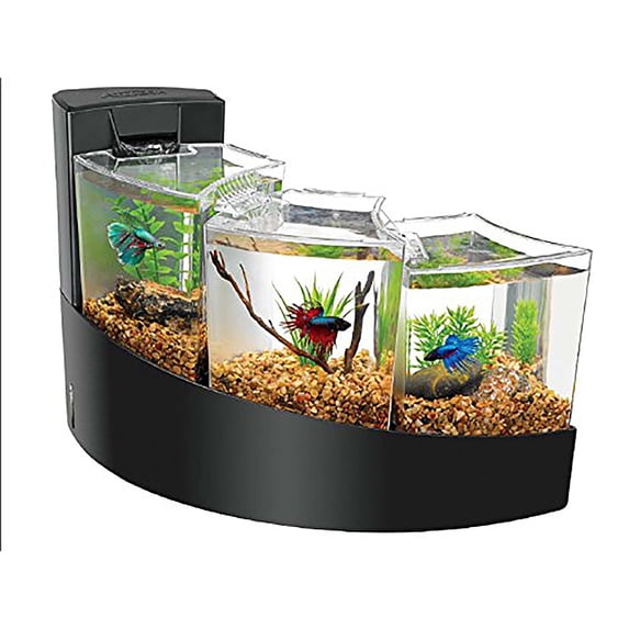 Aqueon Small Aquarium Fish Tank Starter Set, Betta Falls Kit Black for ...