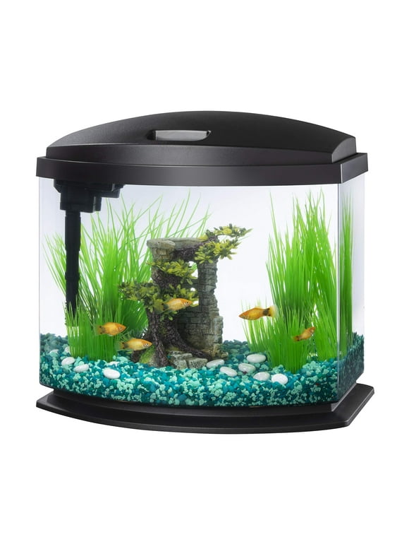 5 Gallon Fish Tank in Fish Tanks - Walmart.com