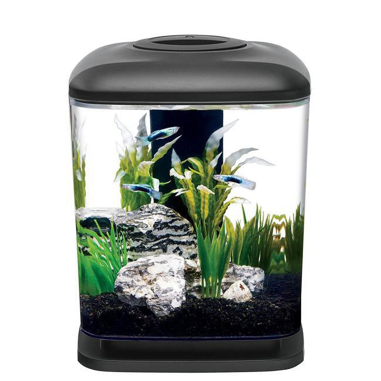 Curien Aqueon Mini Cube LED Aquarium Kit, Black, 1.6 Gallon - Walmart.com