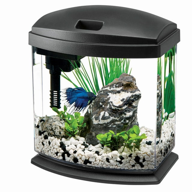 Aqueon MiniBow Aquarium LED Starter Kit, 1 Gallon, Black - Walmart.com