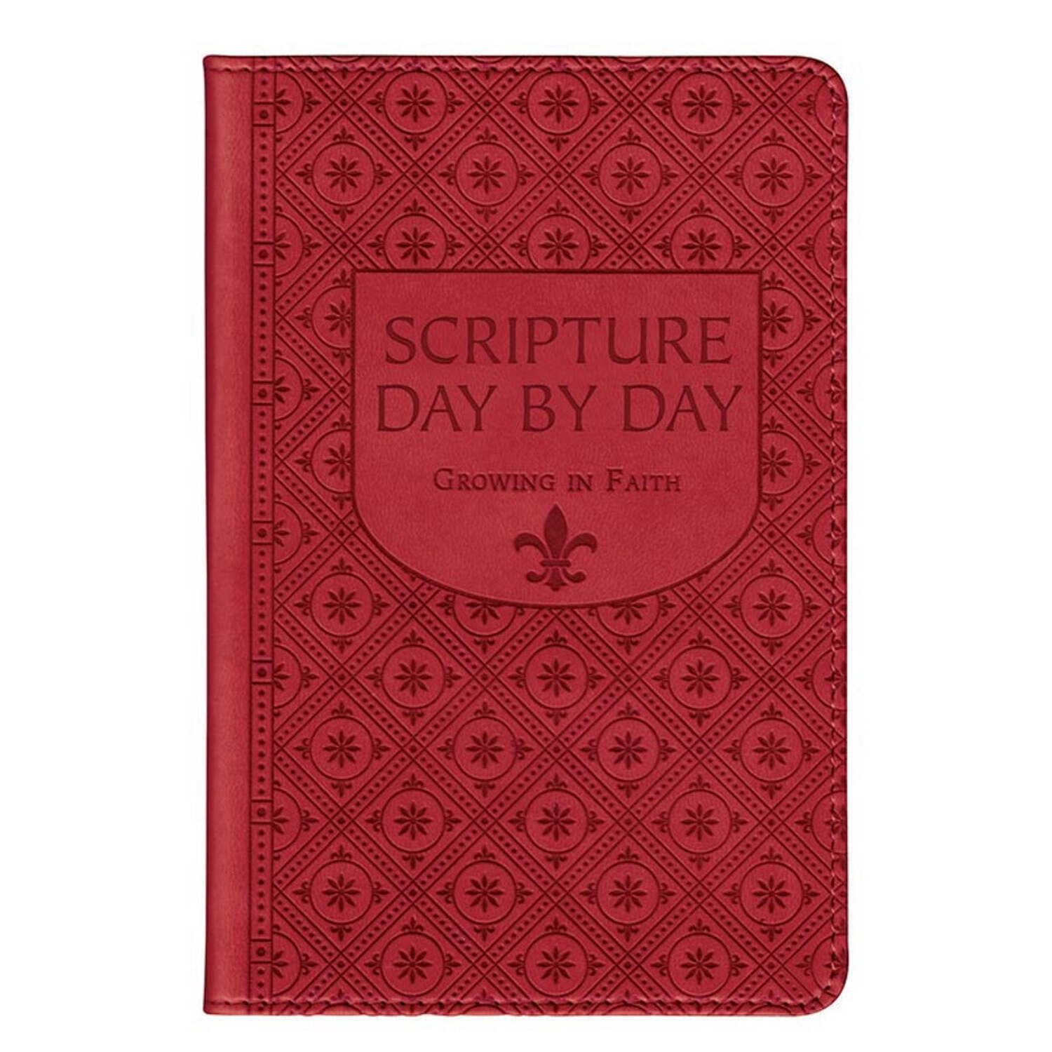 Aquinas Press Scripture Day by Day - Gift Edition - 4/pk - Walmart.com
