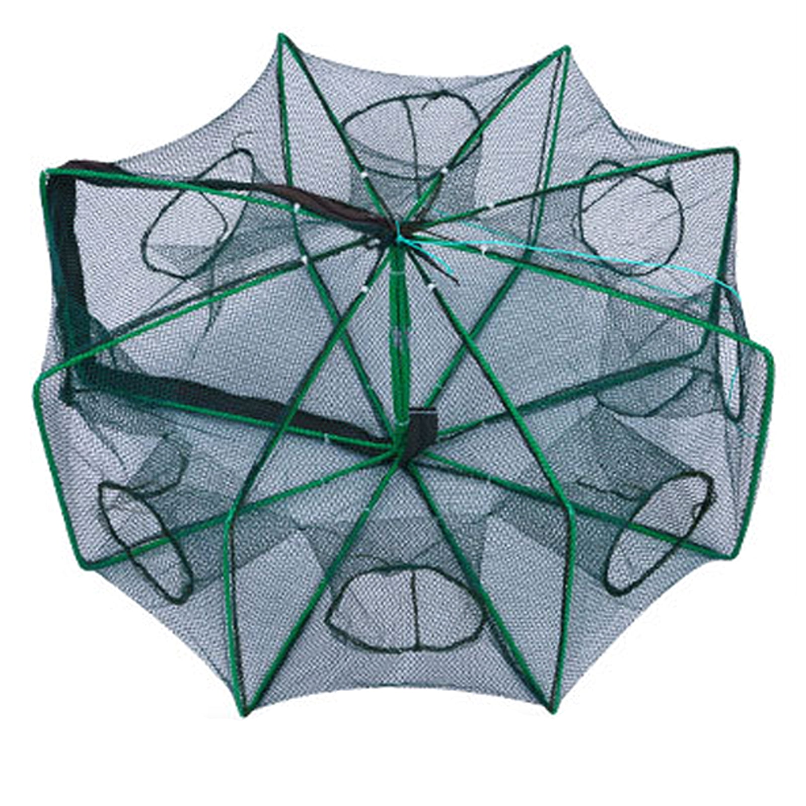 Aqyh Foldable Fishing Bait Trap - 6/8/10/12/16 Holes Heavy Duty ...