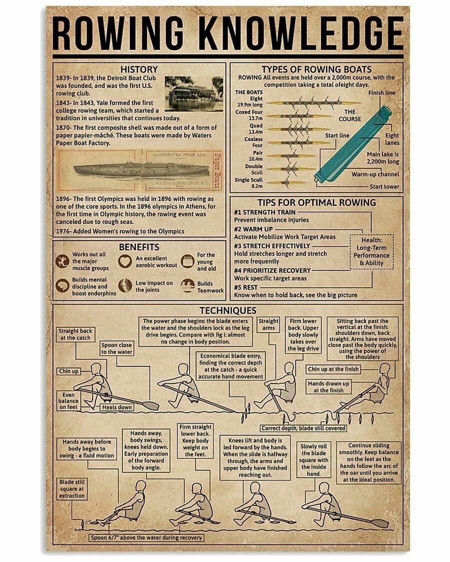 Ara Step Retro Knowledge Art Poster Prints (Pickleball Knowledge ...