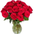 Arabella Bouquets Fresh Cut 25 Red Roses with Free Elegant Hand-Blown ...