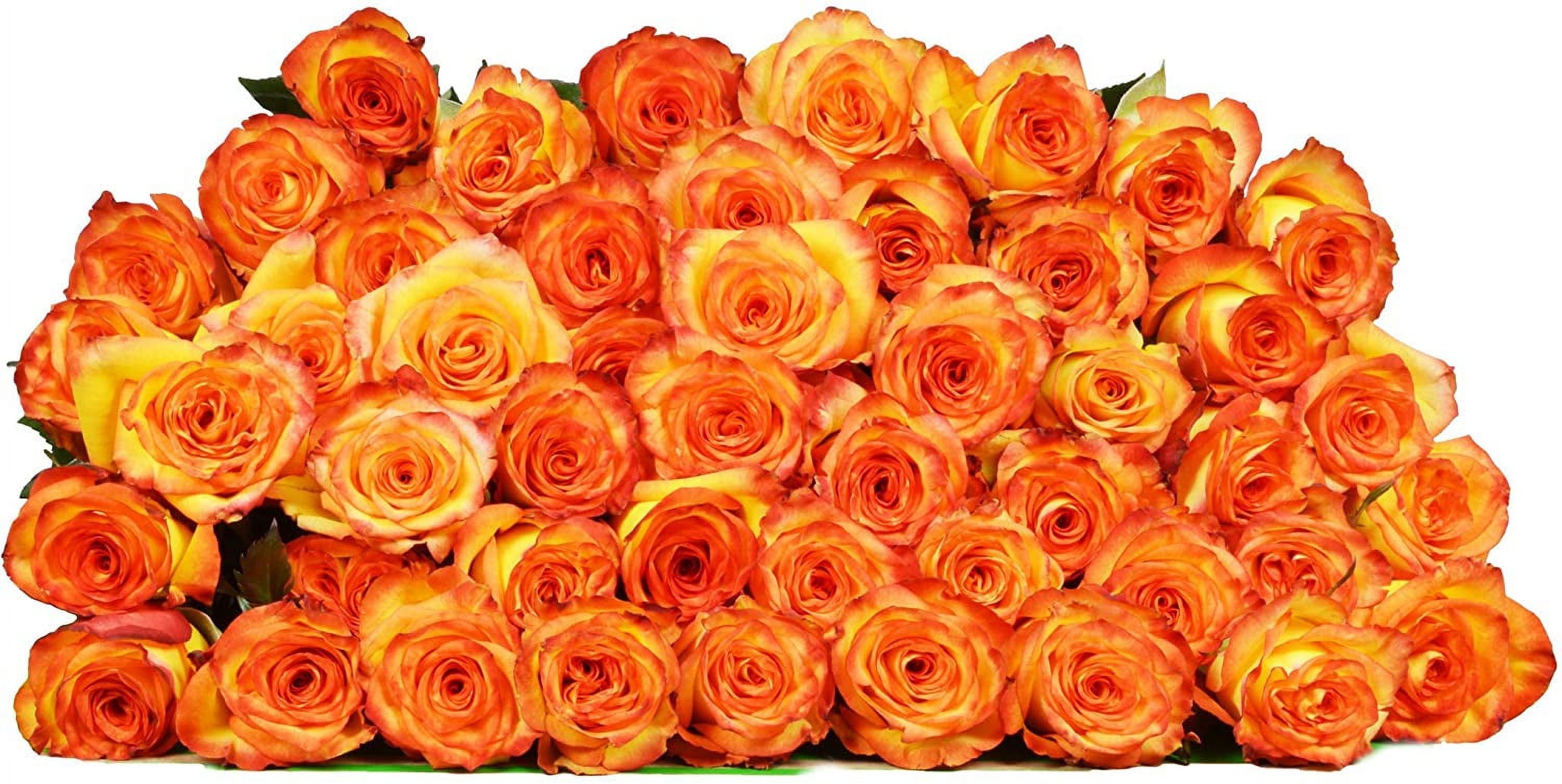 Arabella Bouquets Farm Fresh 50 Yellow Roses - Walmart Business Supplies
