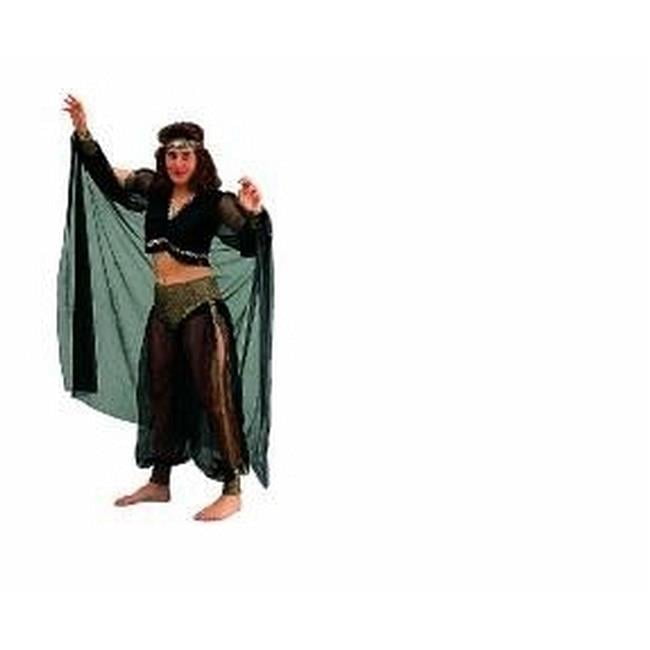 Arabian Queen Costume - Purple - Adult Medium - Walmart.com