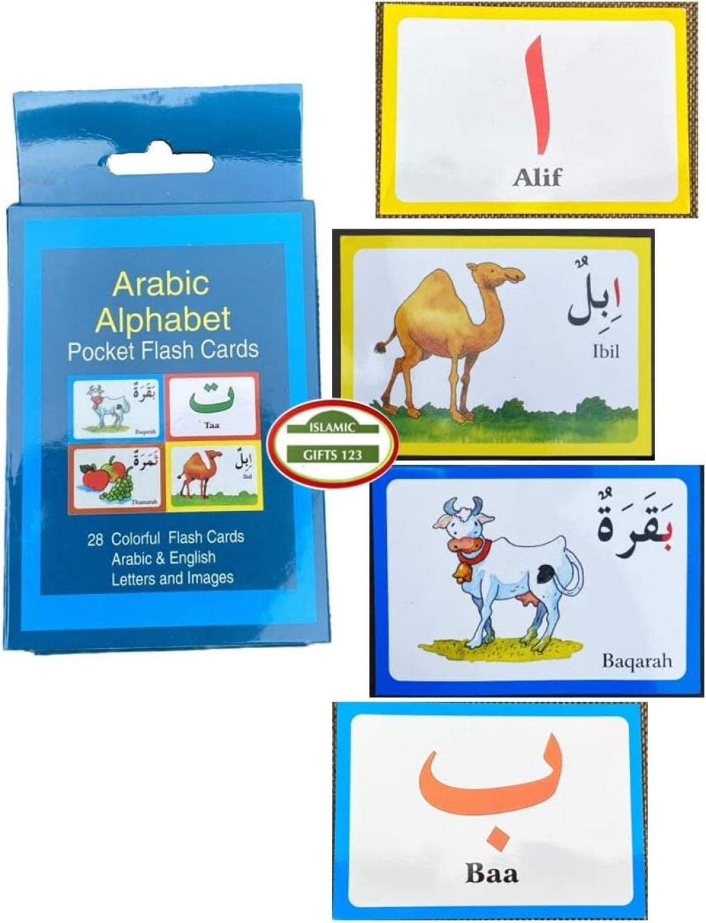 Arabic Alphabet Flash Cards (English and Arabic Edition) Arabic English ...