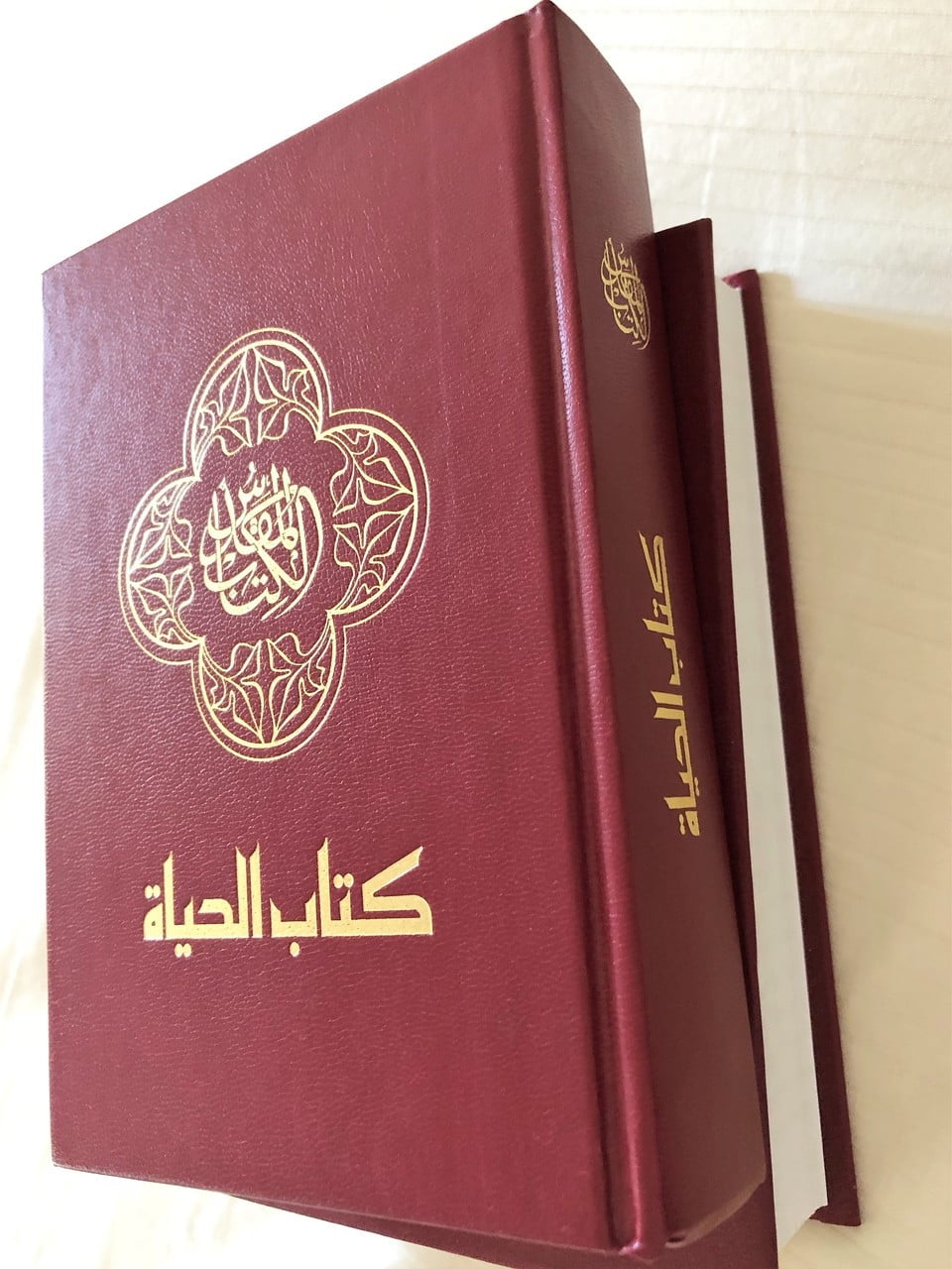Arabic Bible NAV / Biblica 1988 Text Edition / Ketab El Hayat - Walmart.com