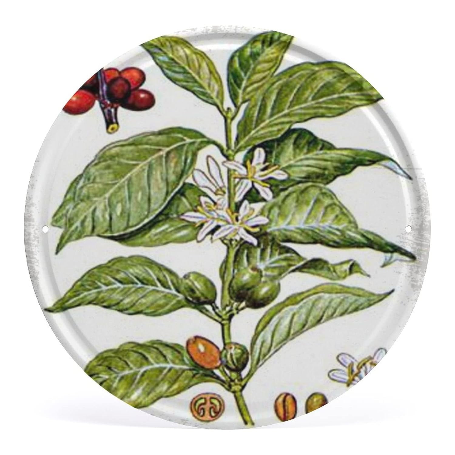 Arabic coffee tree Creative Metal Tin Retro Sign Vintage Flowers Art ...