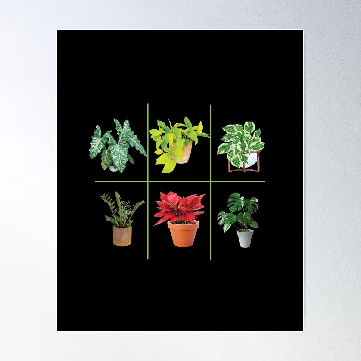 Araceae (Aroid) Plants Poster Wall Art, Modern Wall Decor For Living ...