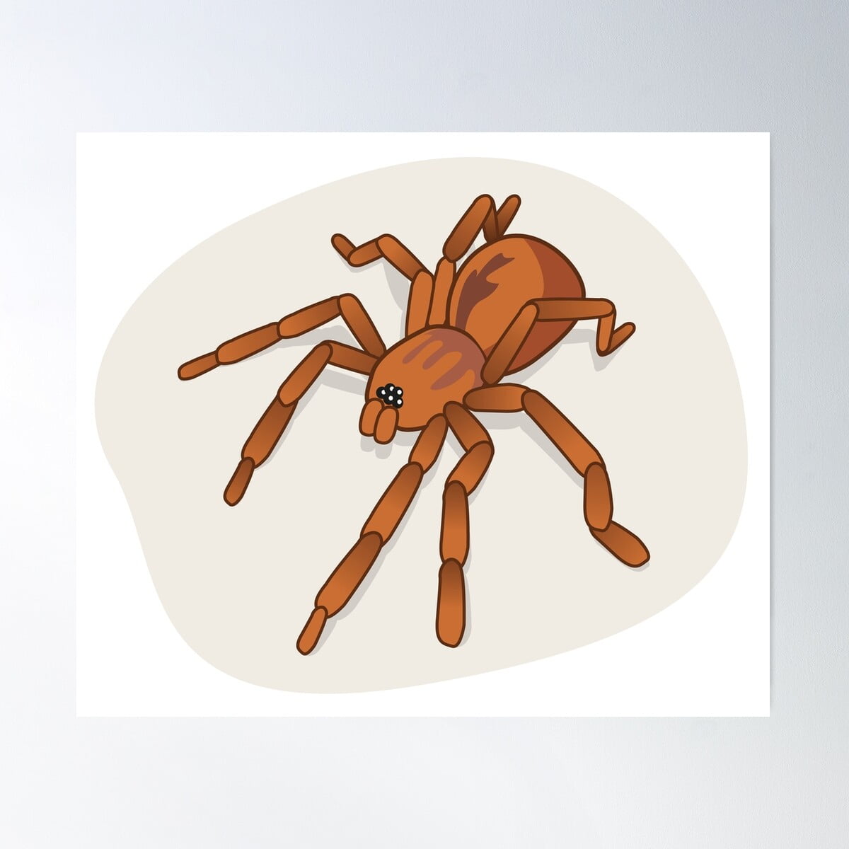 Arachnids Spider, Biology, Nature. Ideal For Educational Materials And ...