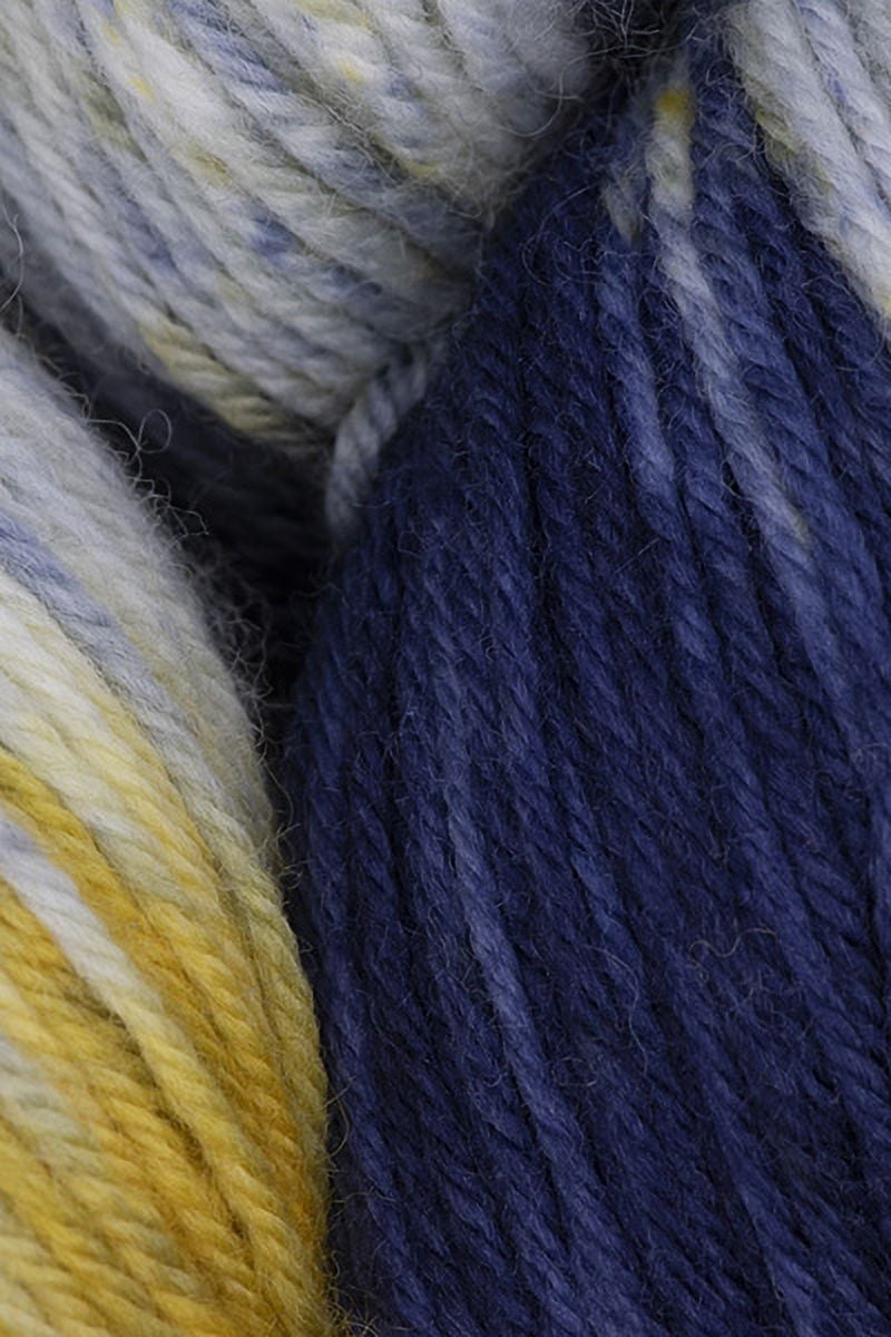 Araucania - Huasco Sock Knitting Yarn - Toco Toucan (# 1003) - Walmart.com