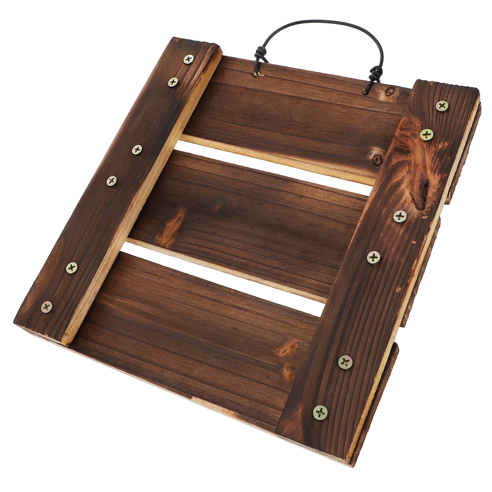 Arbor Grinders Hole Bracket Staghorn Fern Mounting Plate - Walmart.com