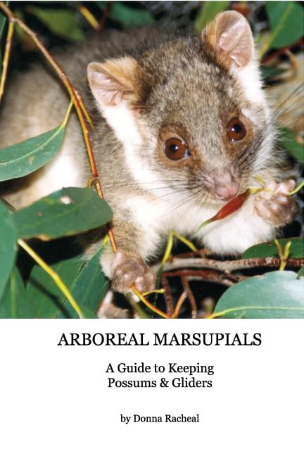 Arboreal Marsupials - Caring for Possums and Gliders: a Guide to ...