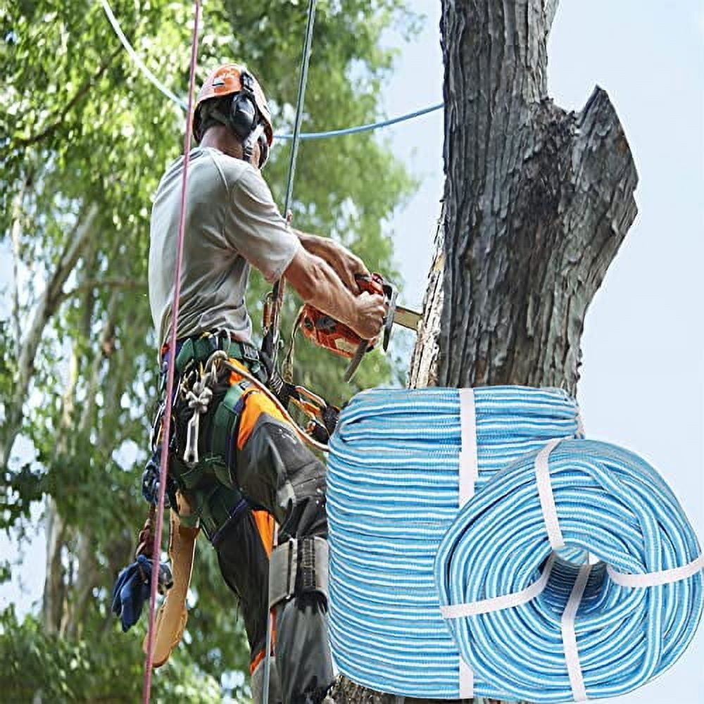 Arborist Rope, 1/2 Inch by 200 Feet 24 Strand High Strength Tree Rope ...