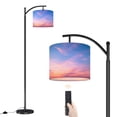 Arc Floor Lamp with Adjustable Lampshade sunset sky soft blur pastel ...
