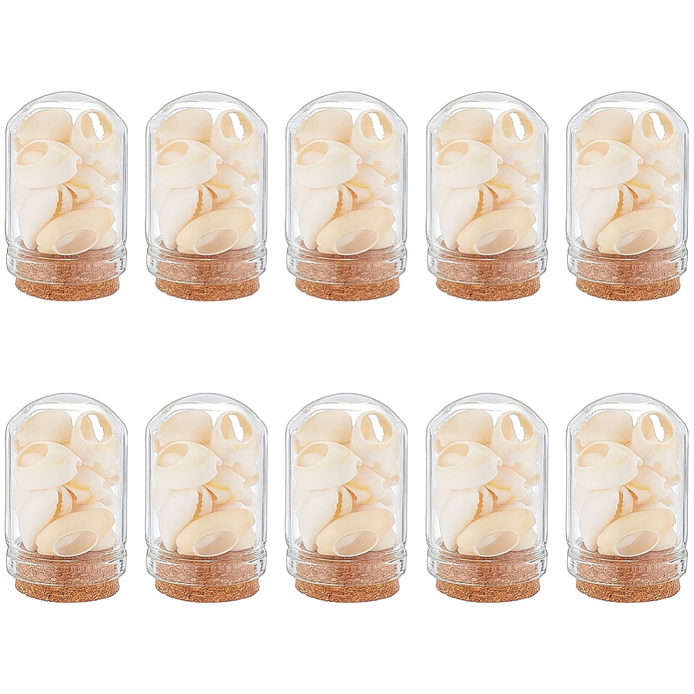 Arch Shape Glass Dome Bell Jar with Mixed Cowrie Shell inside for Home ...