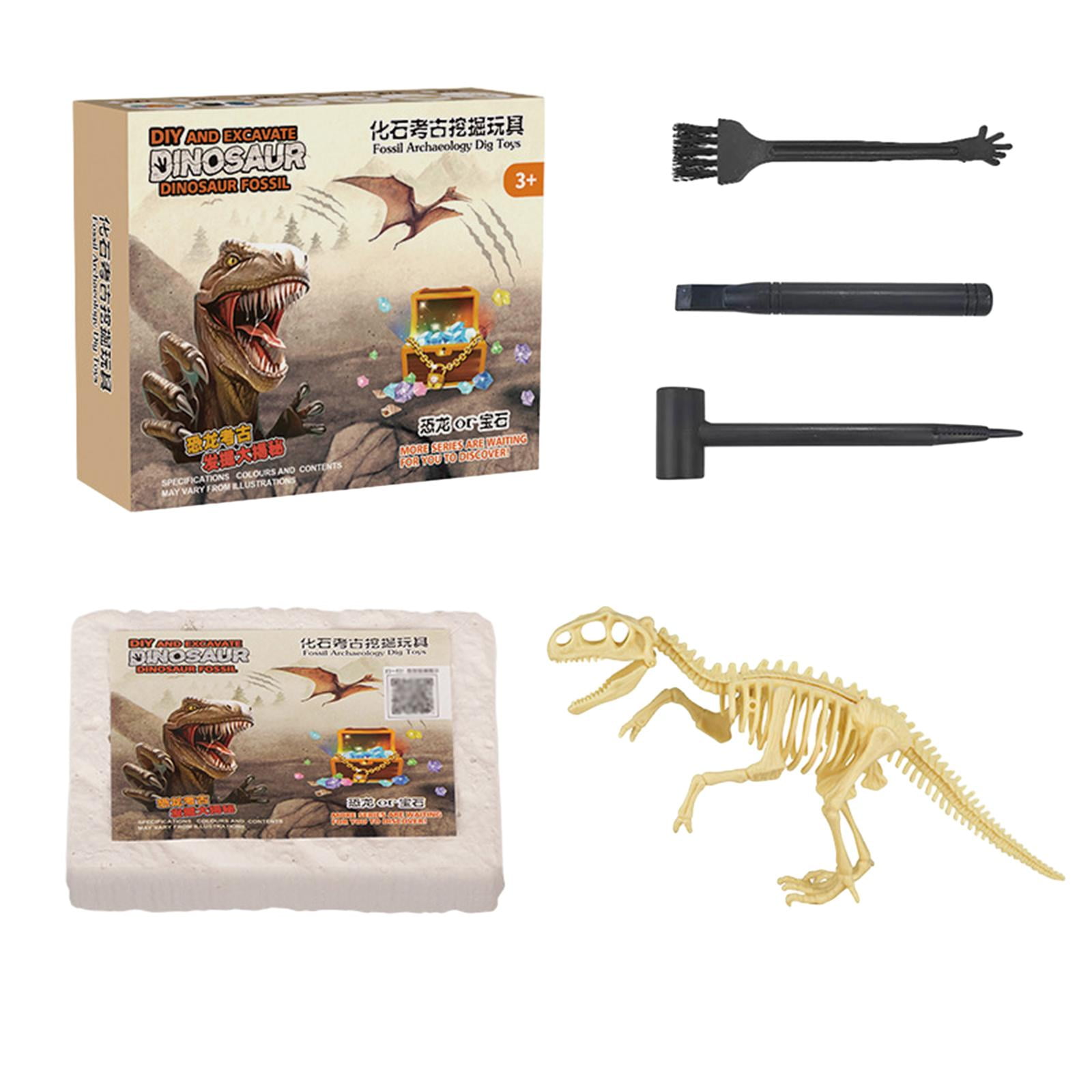 Archaeology Discovery Excavation Kits Archaeology Science Kits for ...