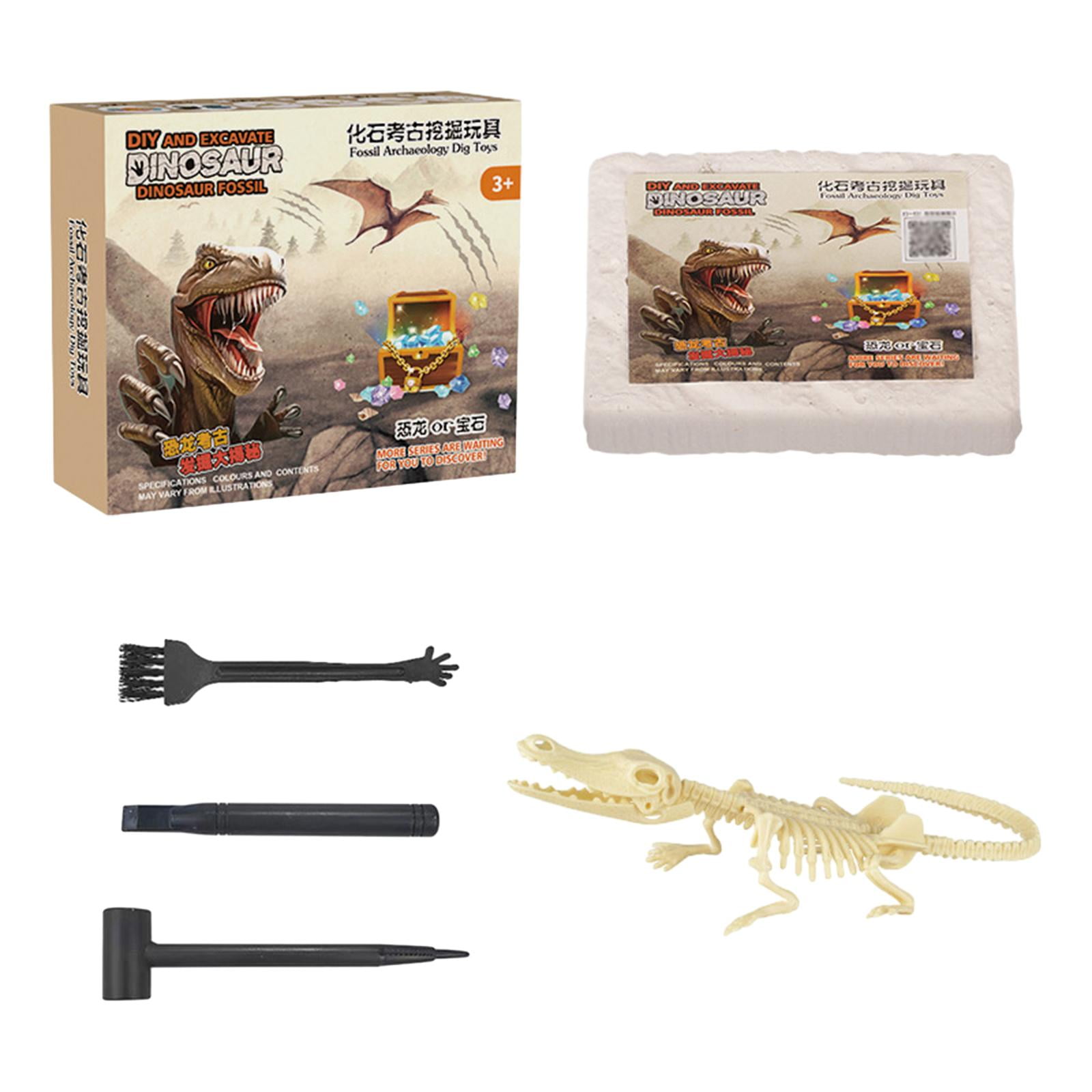 Archaeology Discovery Excavation Kits Archaeology Science Kits for ...