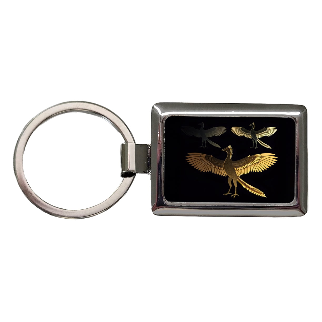Archaeopteryx Sketch Dinosaurs Metal Rectangle Keychain - Walmart.com