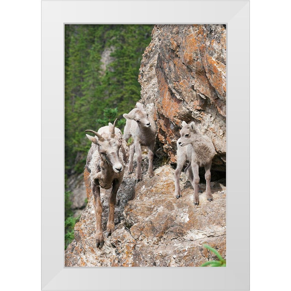 Archer, Ken 11x14 White Modern Wood Framed Museum Art Print Titled ...