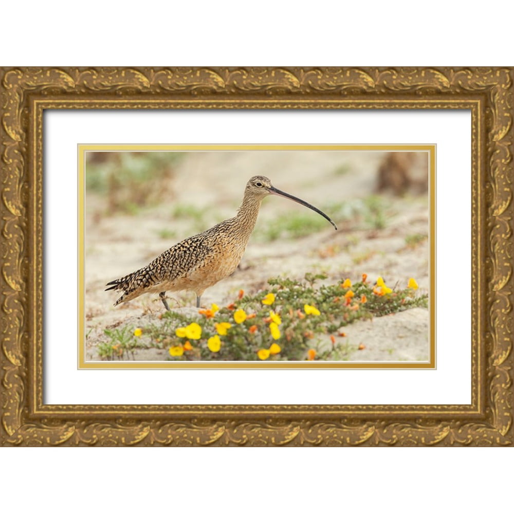 Archer, Ken 14x10 Gold Ornate Wood Framed with Double Matting Museum Art Print Titled - Long ...