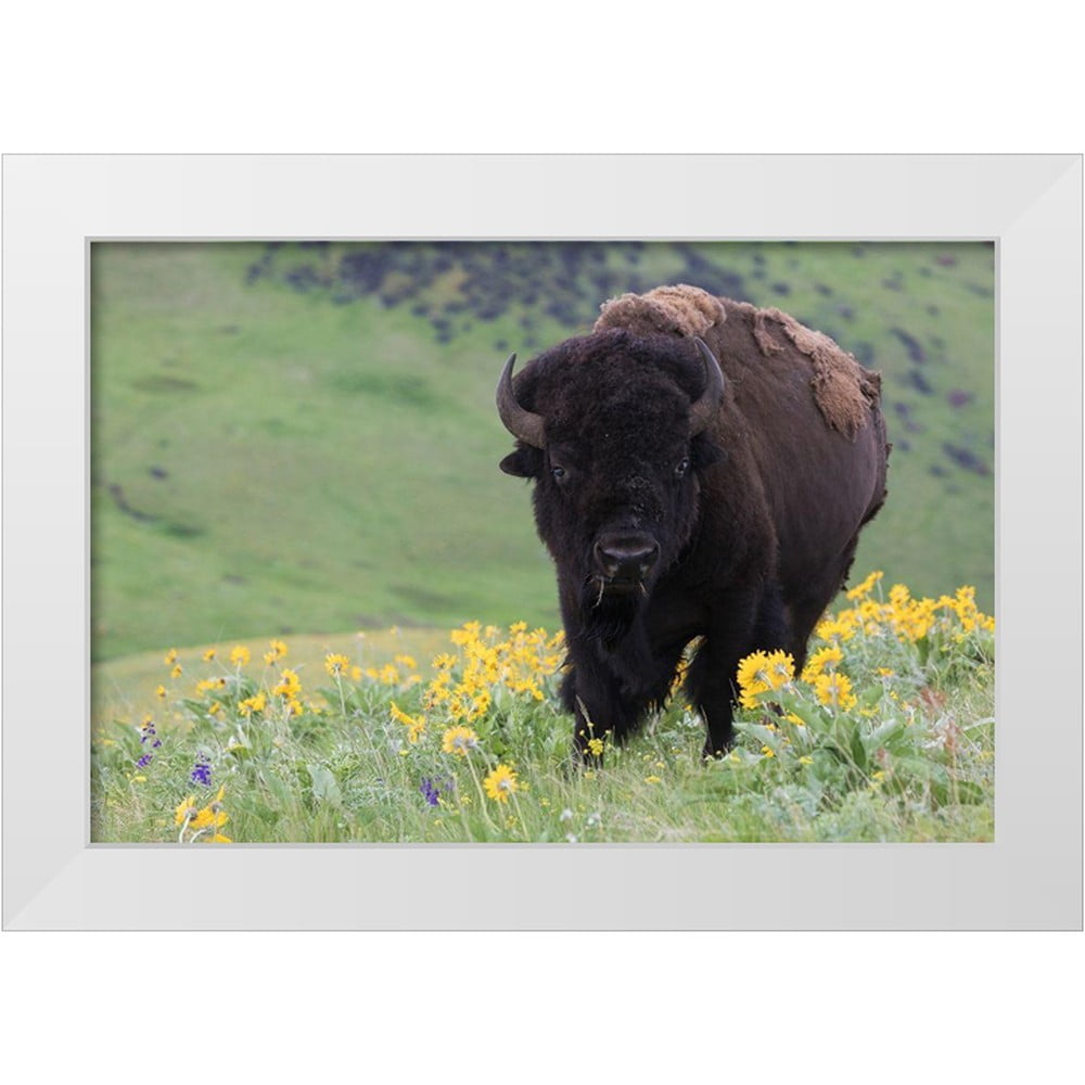 Archer, Ken 14x11 White Modern Wood Framed Museum Art Print Titled ...