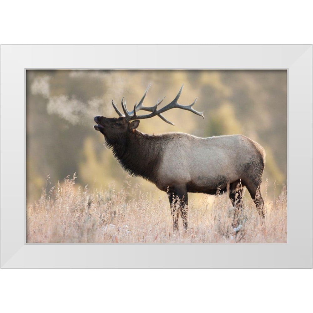 Archer, Ken 14x11 White Modern Wood Framed Museum Art Print Titled ...