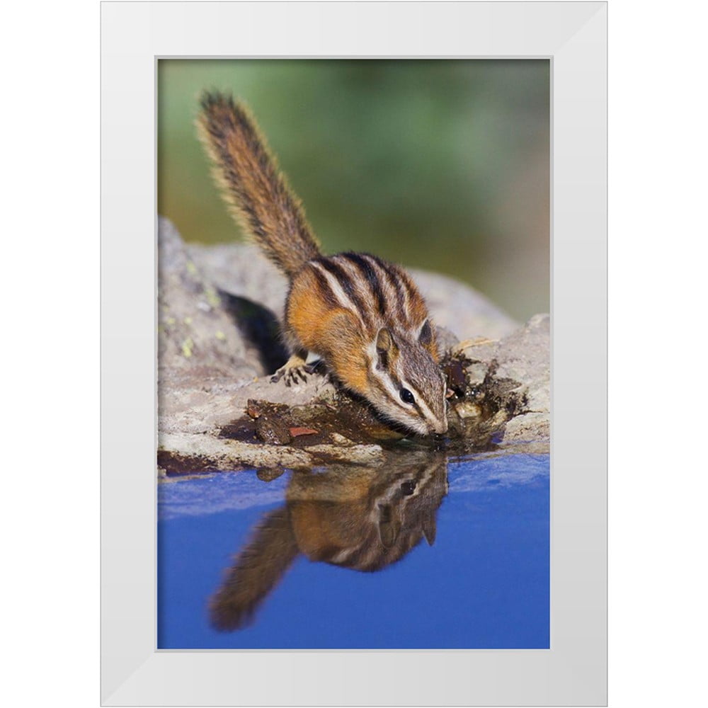 Archer, Ken 17x24 White Modern Wood Framed Museum Art Print Titled ...