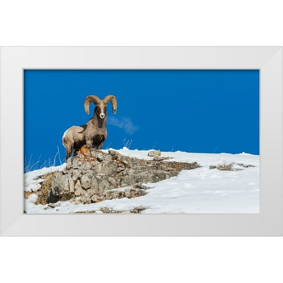 Archer, Ken 18x13 White Modern Wood Framed Museum Art Print Titled ...