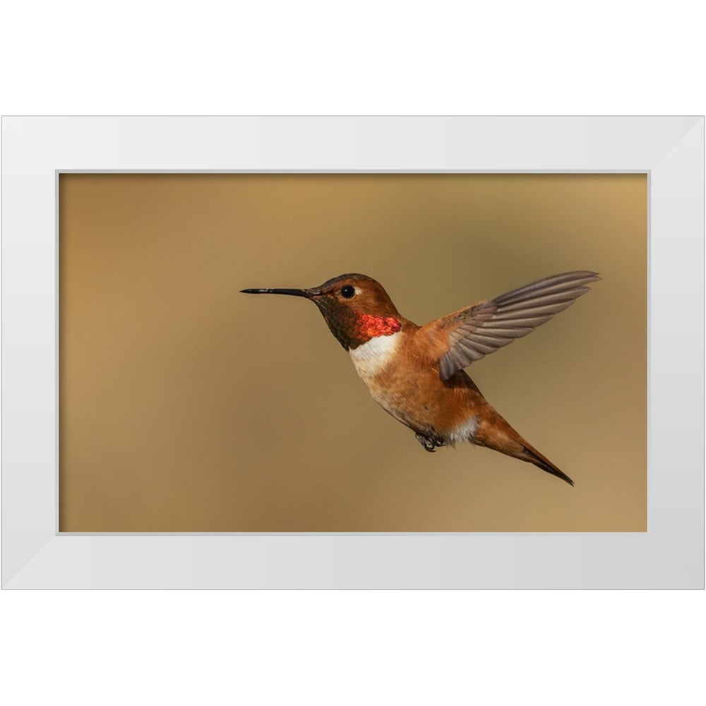 Archer, Ken 18x13 White Modern Wood Framed Museum Art Print Titled ...