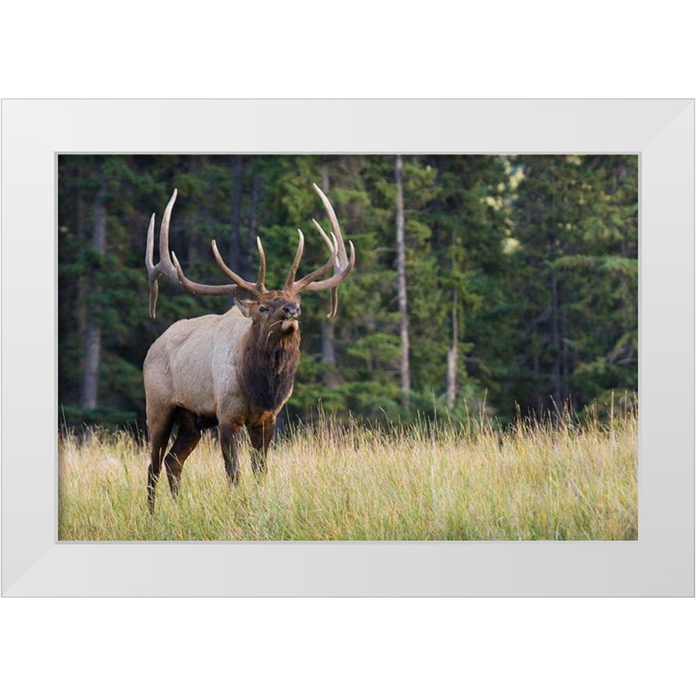 Archer, Ken 24x17 White Modern Wood Framed Museum Art Print Titled ...