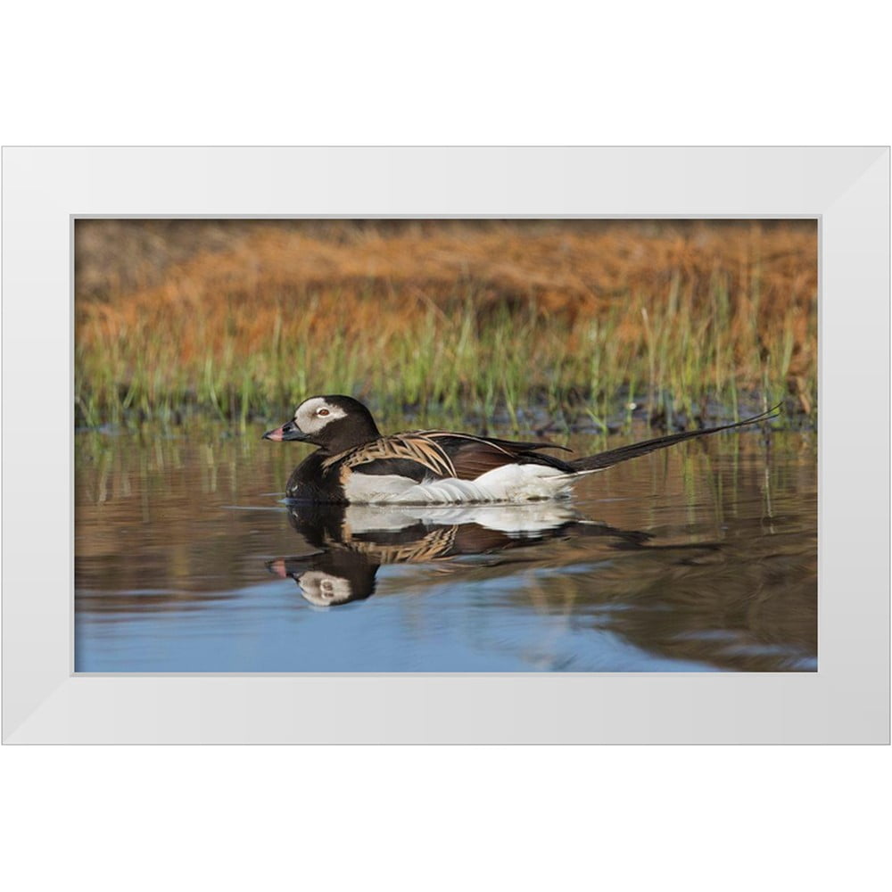 Archer, Ken 32x21 White Modern Wood Framed Museum Art Print Titled ...
