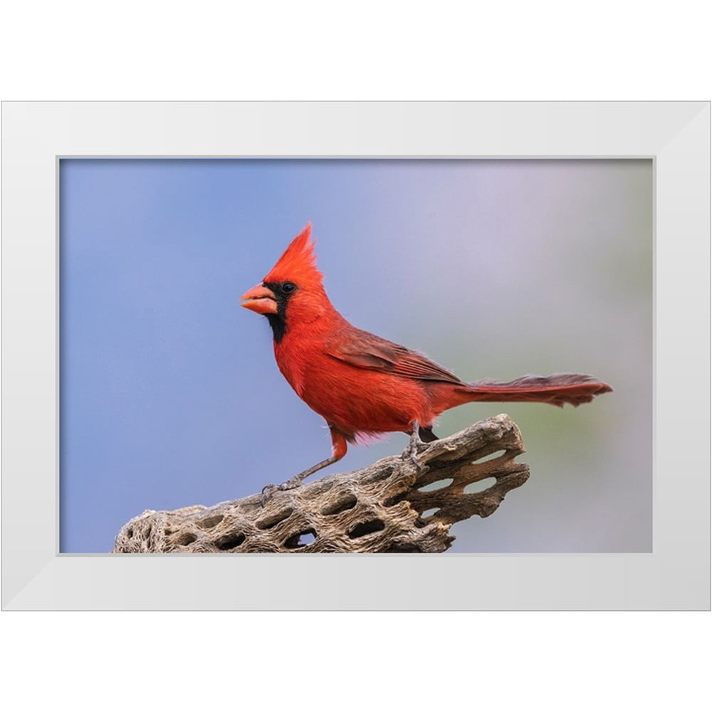 Archer, Ken 32x23 White Modern Wood Framed Museum Art Print Titled ...