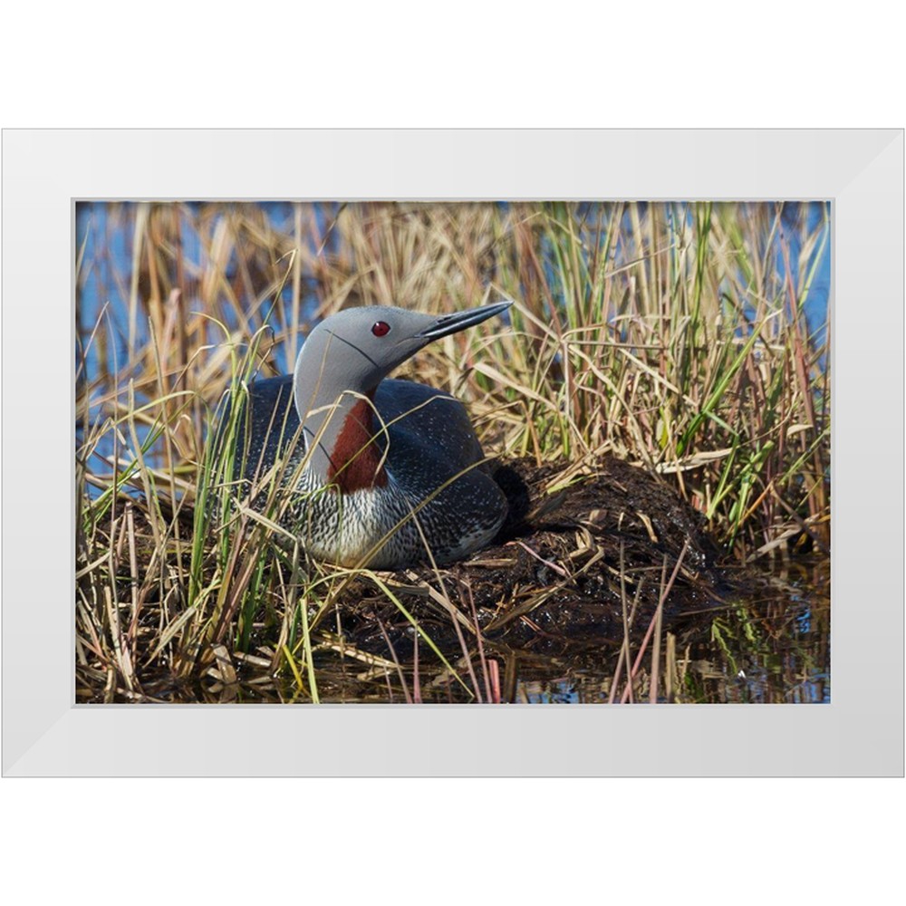 Archer, Ken 32x23 White Modern Wood Framed Museum Art Print Titled ...